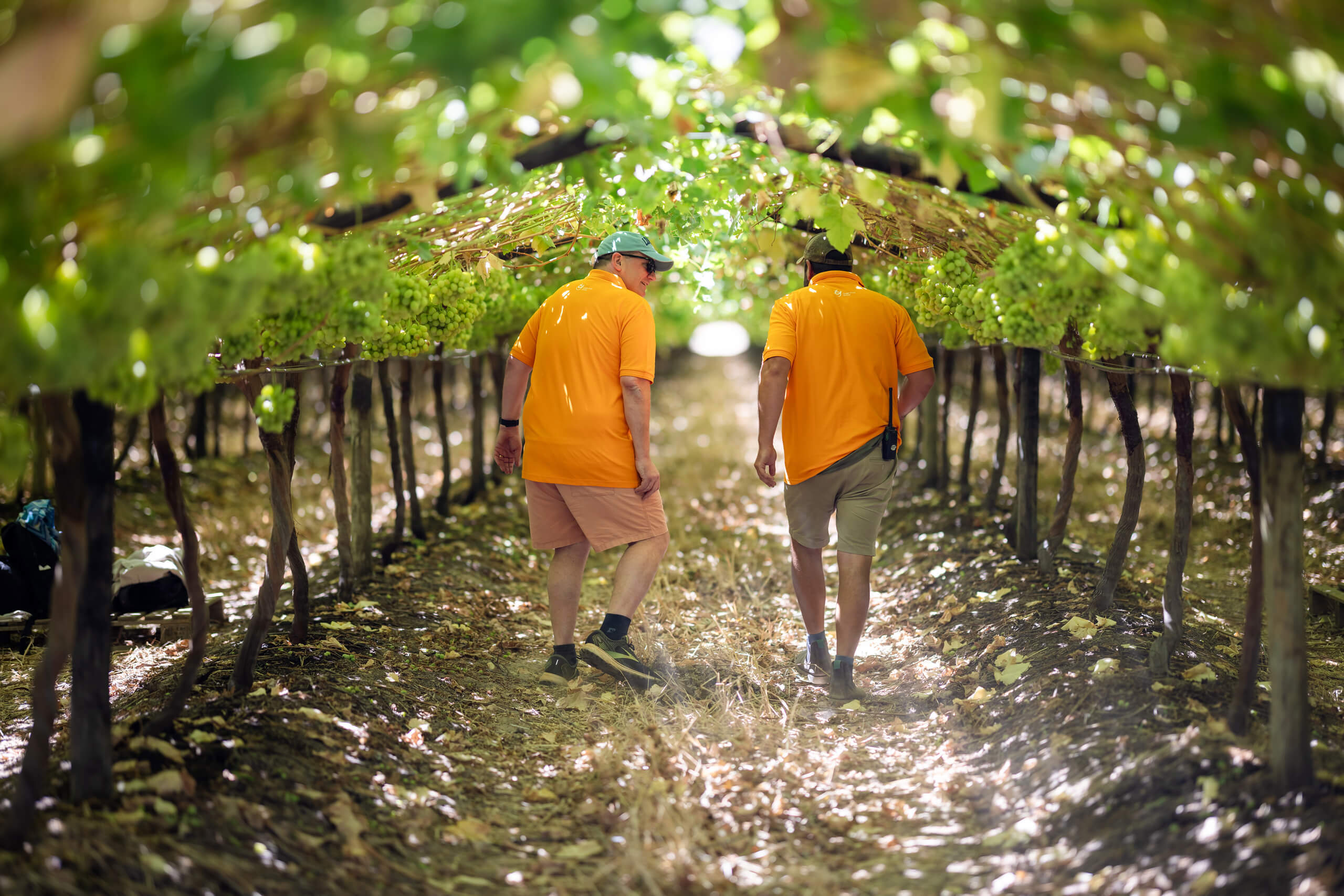 Vacancies - Origin Fruit Group