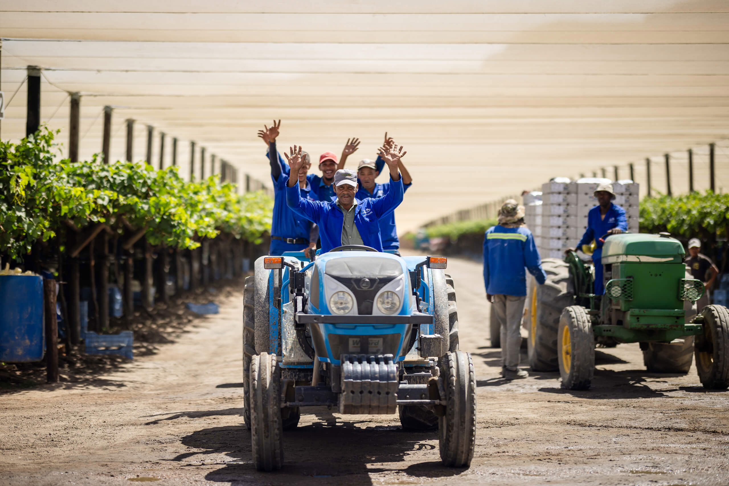 Vacatures - Origin Fruit Group