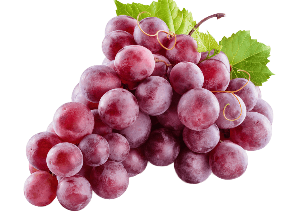 Product range - Origin Fruit Group