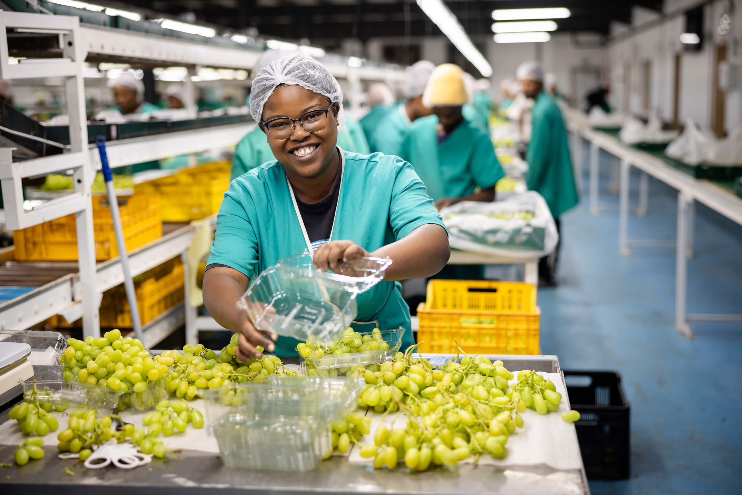 Sustainability - Origin Fruit Group