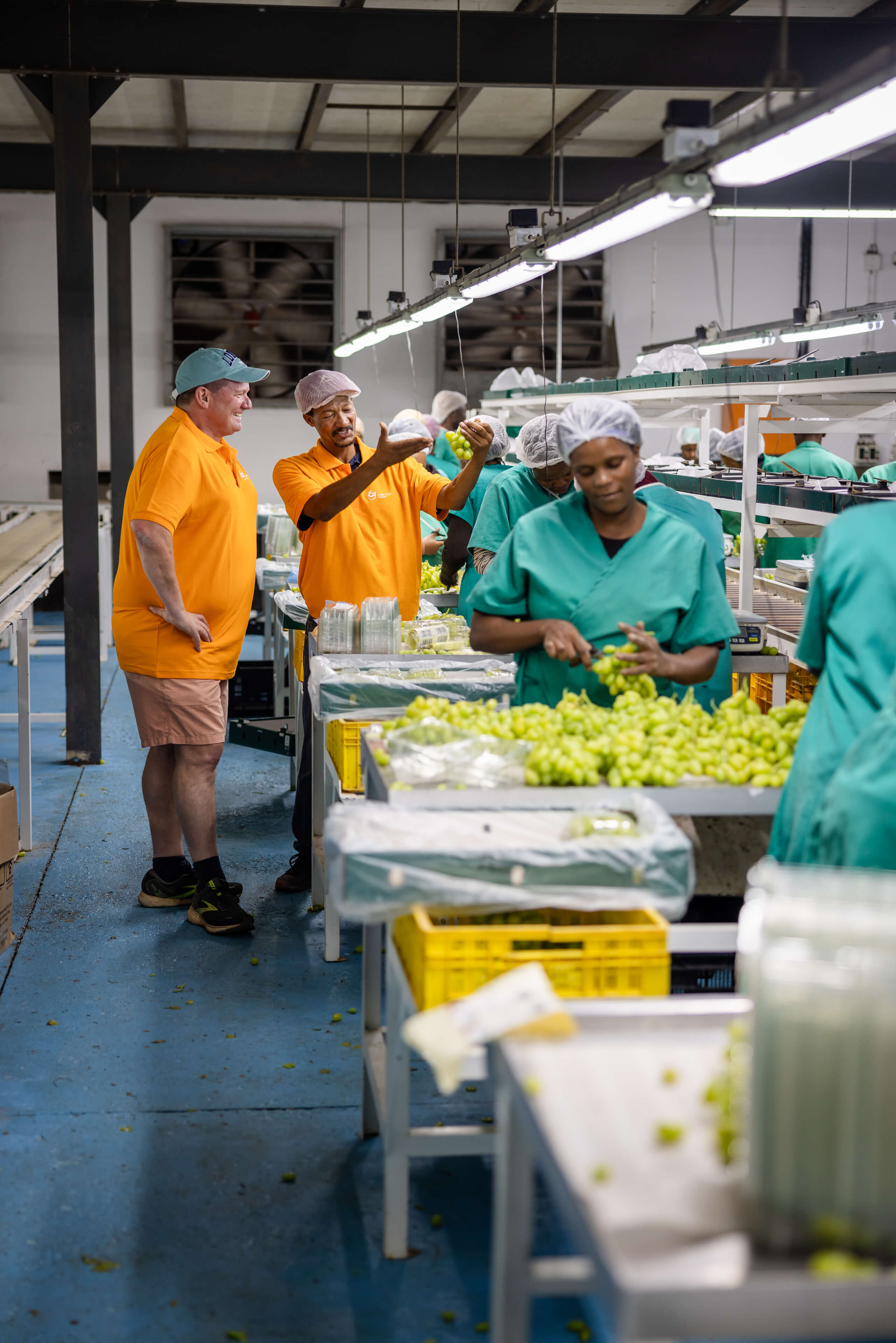 Value chain - Origin Fruit Group