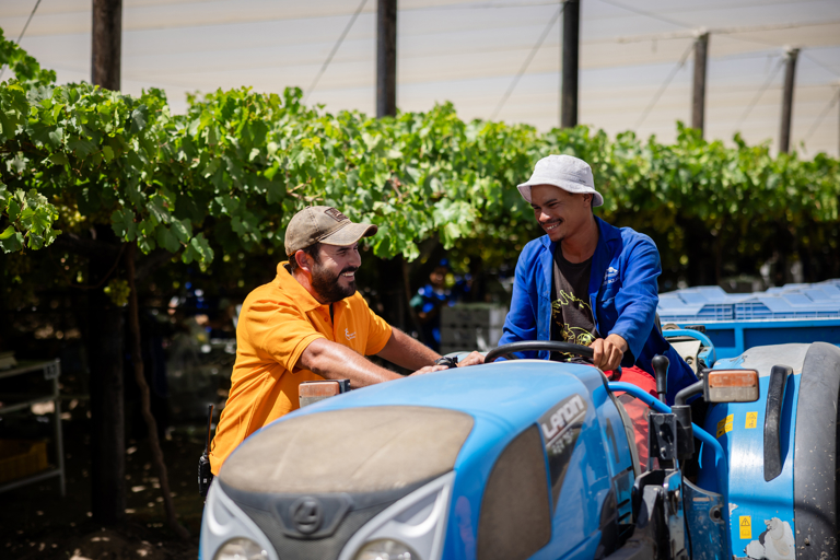 Value chain - Origin Fruit Group